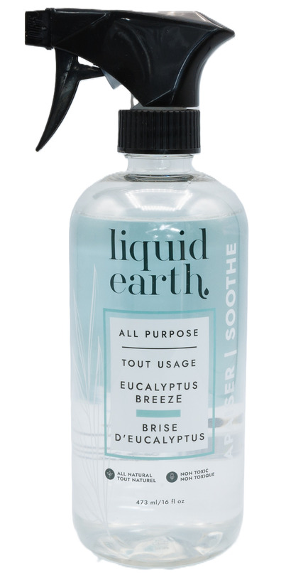 Buy Liquid Earth Multi-Surface Cleaner Eucalyptus at Well.ca | Free ...