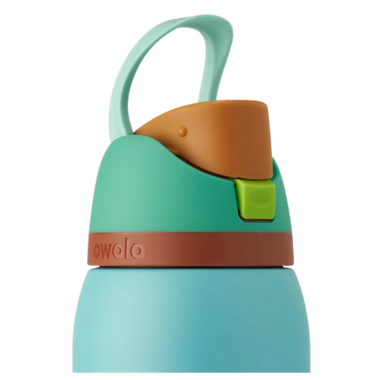 Buy Owala FreeSip Insulated Stainless Steel Water Bottle Palm Springs ...