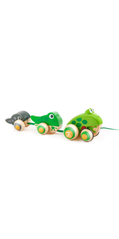 Buy Hape Toys Pull Along Frog Family at Well.ca | Free Shipping $35+ in ...