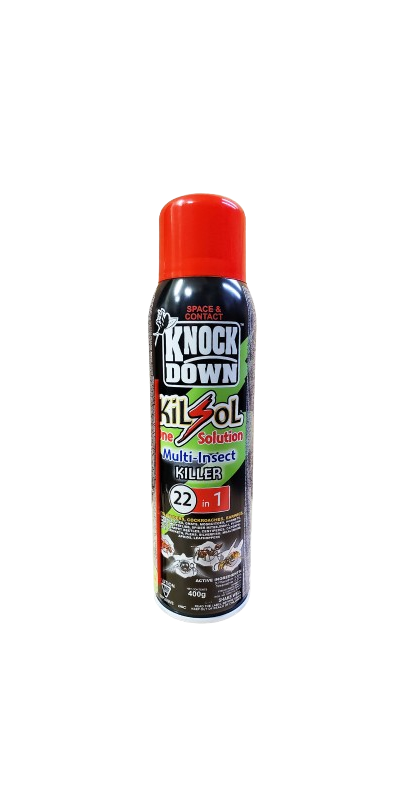 Buy Knock Down KILSOL 22-in-1 Multi-Insect Killer Spray at Well.ca ...