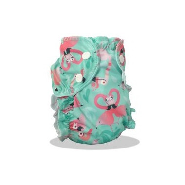 Buy AppleCheeks Swim Diaper Flamingle at Well.ca | Free Shipping $35 ...