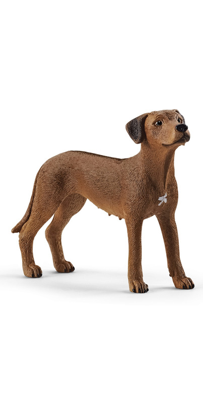 Achetez Schleich Rhodesian Ridgeback à Well.ca | Livraison gratuite 35 ...