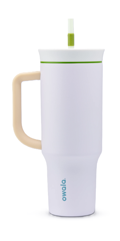 Buy Owala Stainless Steel Travel Tumbler with Straw and Handle Lost In ...