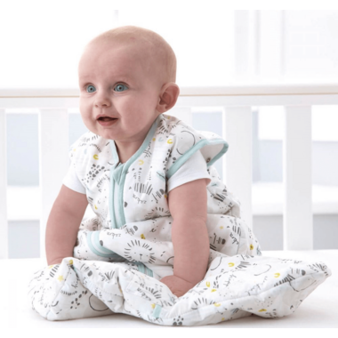 Buy Grobag Baby Sleep Bag TOG 2.5 Jungle Boogie 0-6 Months at Well.ca ...