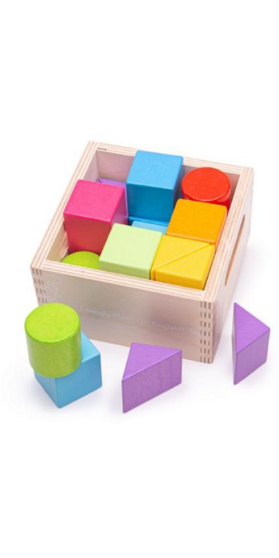 Buy Bigjigs First Building Blocks at Well.ca | Free Shipping $35+ in Canada