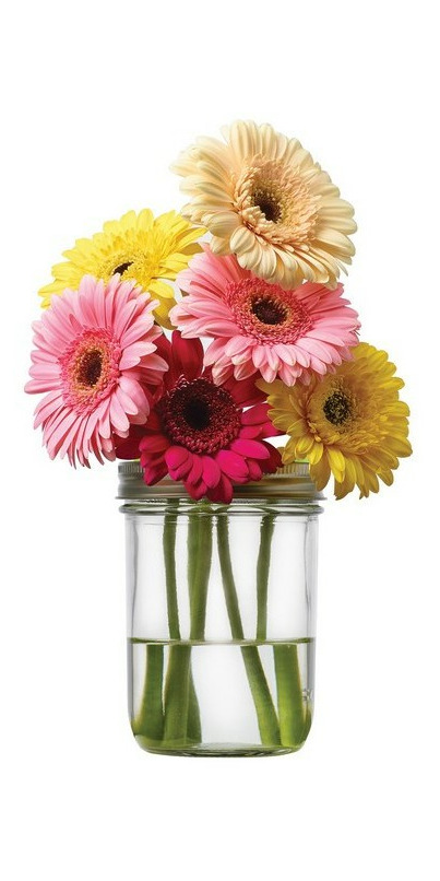 Buy Jarware Flower Frog at Well.ca | Free Shipping $35+ in Canada