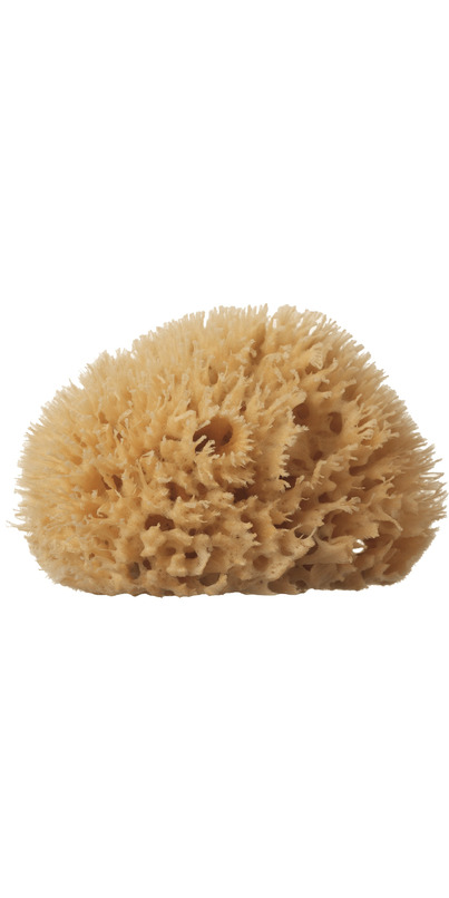 Buy Well Kept Sponge Medium at Well.ca | Free Shipping $35+ in Canada
