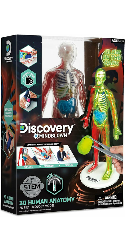 Buy Discovery Kids Mindblown Toy Human Anatomy Kit at Well.ca | Free ...