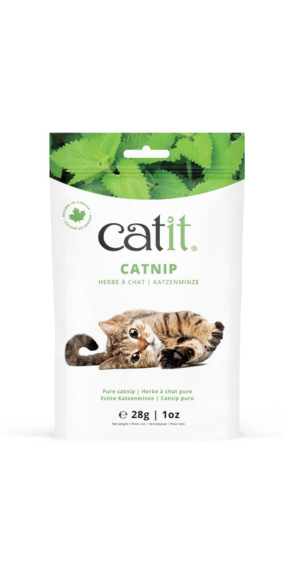 Buy Catit Catnip at Well.ca | Free Shipping $35+ in Canada