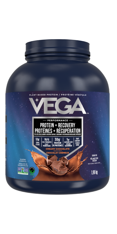 Buy Vega Performance Protein + Recovery Creamy Chocolate at Well.ca ...