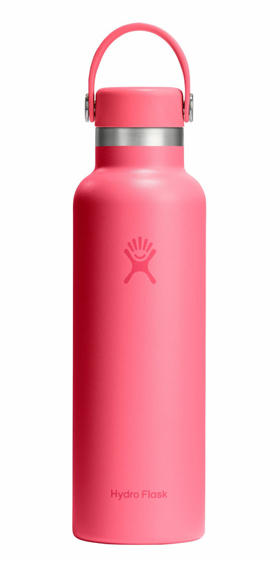 Buy Hydro Flask Wide Mouth Flex Straw Cap Popstar Pink at Well.ca ...