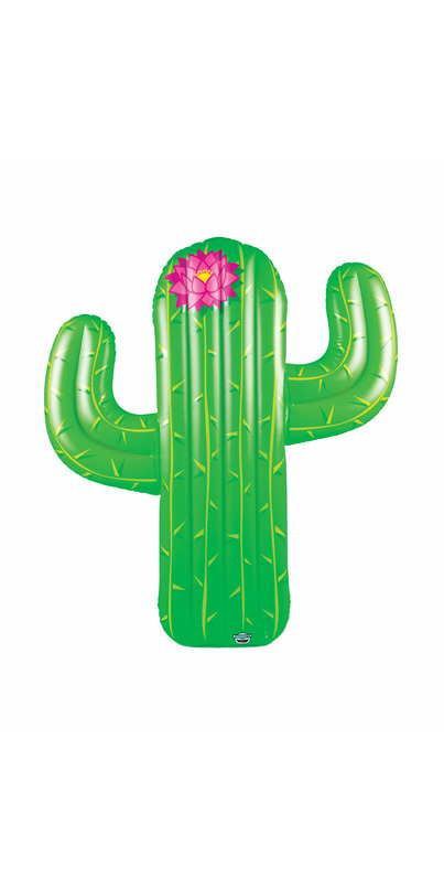 Buy BigMouth Inc. Giant Cactus Pool Float at Well.ca | Free Shipping ...
