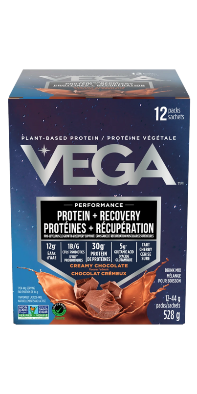 Achetez Vega Performance Protein + Recovery Chocolate chez Well.ca ...
