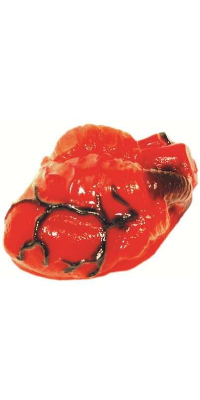 Buy Scientific Explorer Disgusting Anatomy Heart at Well.ca | Free ...