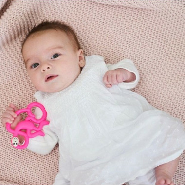 Buy Matchstick Monkey Mini Monkey Teether Pink at Well.ca | Free ...