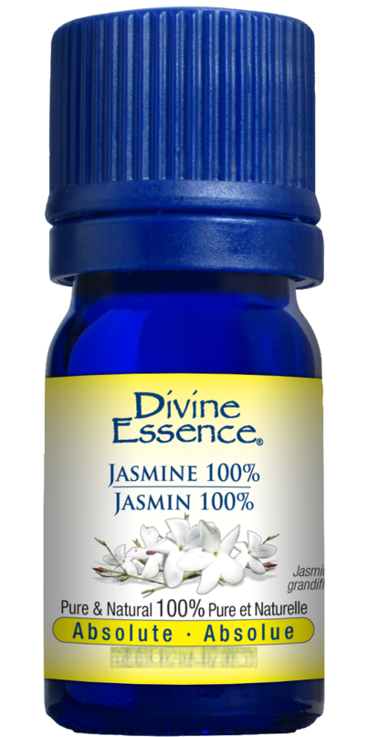 Buy Divine Essence Jasmine 100% Absolute Essential Oil at Well.ca ...