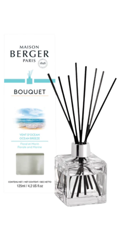 Acheter le diffuseur Maison Berger Paris Ocean Breeze à Well.ca ...