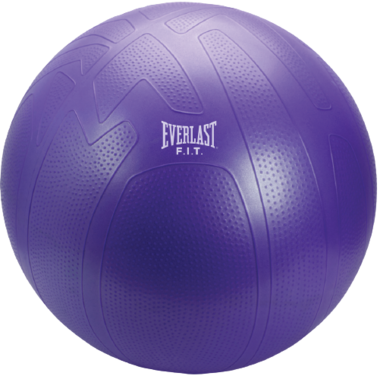 Buy Everlast 75cm Pro Grip Burst Resistant Fitness Ball at Well.ca ...