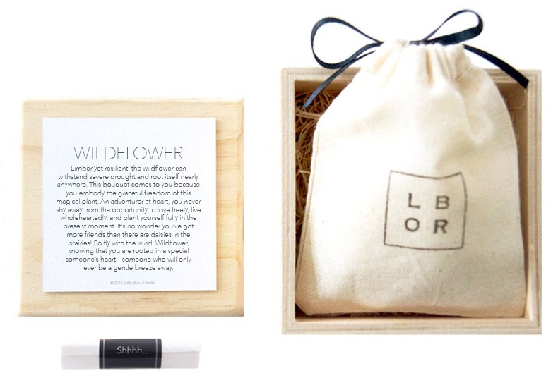 Buy Little Box of Rocks Crystal Collection Wildflower at Well.ca | Free ...