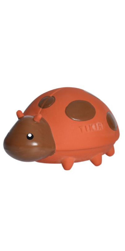 Buy Tikiri Ladybug Natural Rubber Teether Rattle and Bath Toy at Well ...
