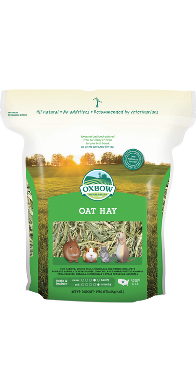 Buy Oxbow Small Animal Oat Hay at Well.ca | Free Shipping $35+ in Canada