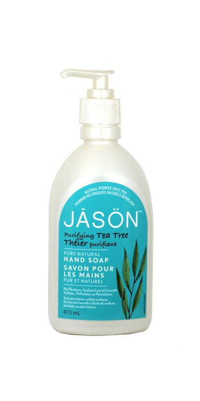 Buy Jason Purifying Hand Soap at Well.ca | Free Shipping $35+ in Canada