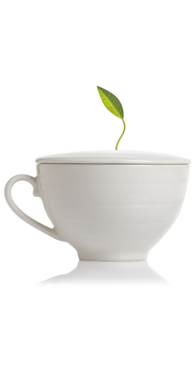 Buy Tea Forte Cafe Cup at Well.ca | Free Shipping $35+ in Canada