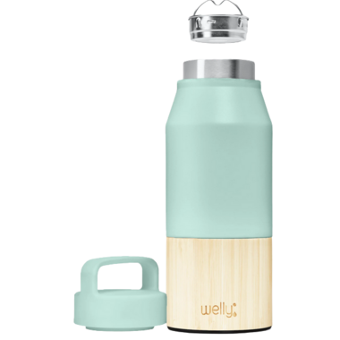 Buy Welly Traveler Insulated Water Bottle Mint at Well.ca | Free ...