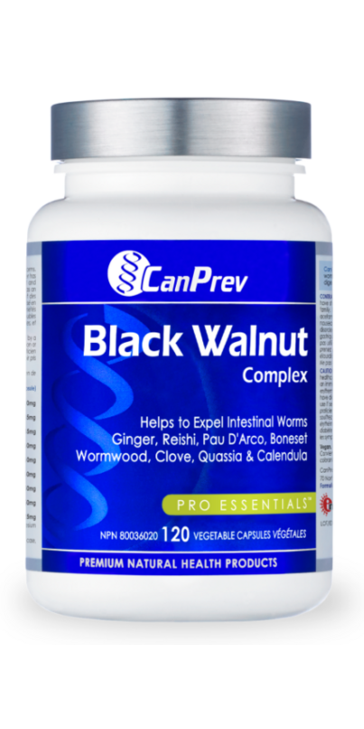 Buy CanPrev Black Walnut Complex at Well.ca | Free Shipping $35+ in Canada