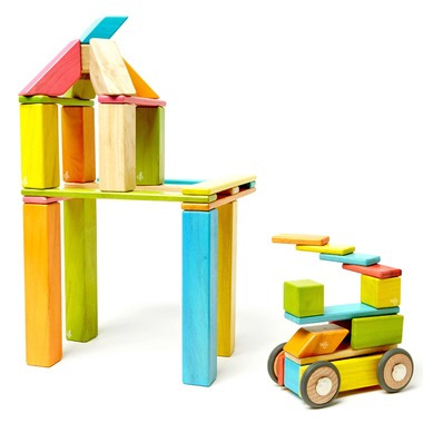 Buy Tegu Magnetic Wooden Block Set Tints at Well.ca | Free Shipping $35 ...