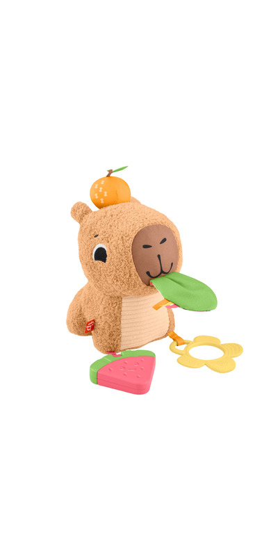Achetez le Snuggly Snacky Capy de Fisher-Price sur Well.ca | Livraison ...