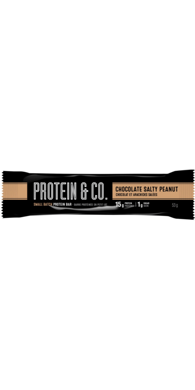 Buy NutraPhase Protein & Co. Chocolate Salty Peanut Protein Bar at Well.ca | Free Shipping $35 ...