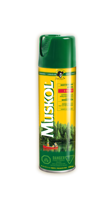 Buy Muskol Insect Repellent Aerosol at Well.ca | Free Shipping $35+ in ...
