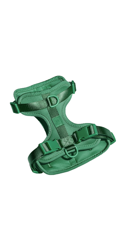 Buy Wild One Harness Spruce at Well.ca | Free Shipping $35+ in Canada