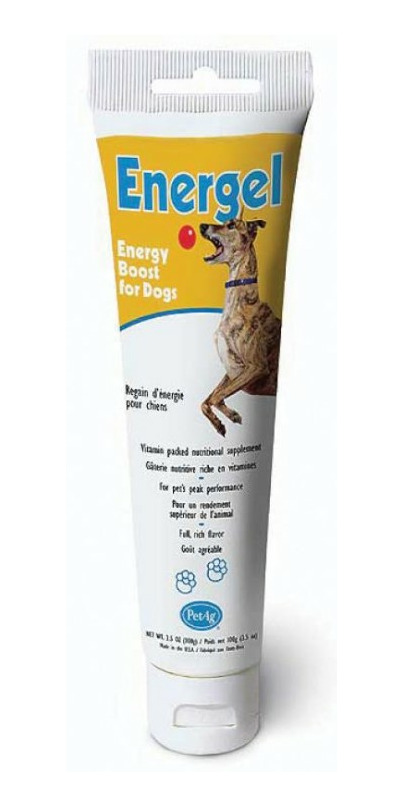 Buy PetAg Energel For Dogs at Well.ca | Free Shipping $35+ in Canada