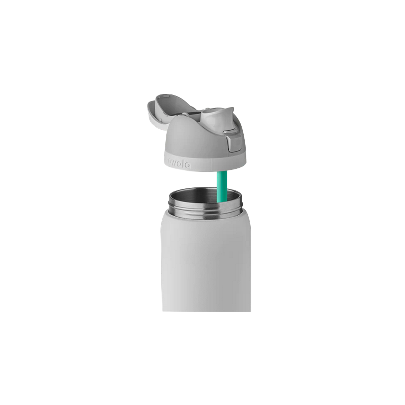 Buy Owala FreeSip Insulated Stainless Steel Water Bottle Gray at Well ...