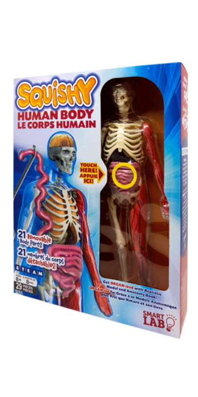 Buy Smart Lab Squishy Human Body at Well.ca | Free Shipping $35+ in Canada