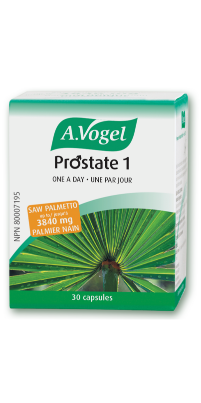 Buy A.Vogel Prostate 1 Sabalasan at Well.ca | Free Shipping $35+ in Canada