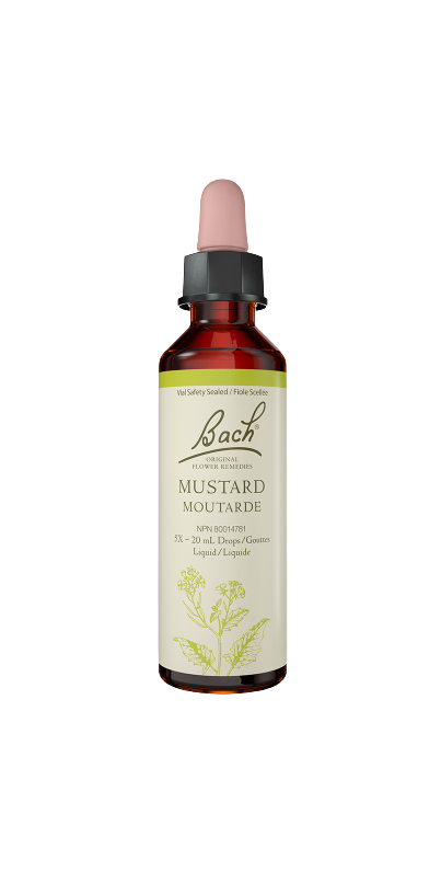 Buy Bach Mustard Flower Essence at Well.ca | Free Shipping $35+ in Canada