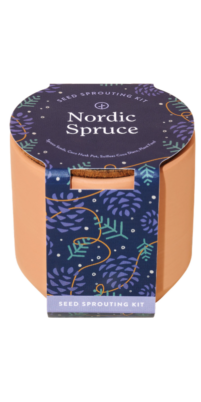 Buy Modern Sprout Nordic Spruce at Well.ca | Free Shipping $35+ in Canada
