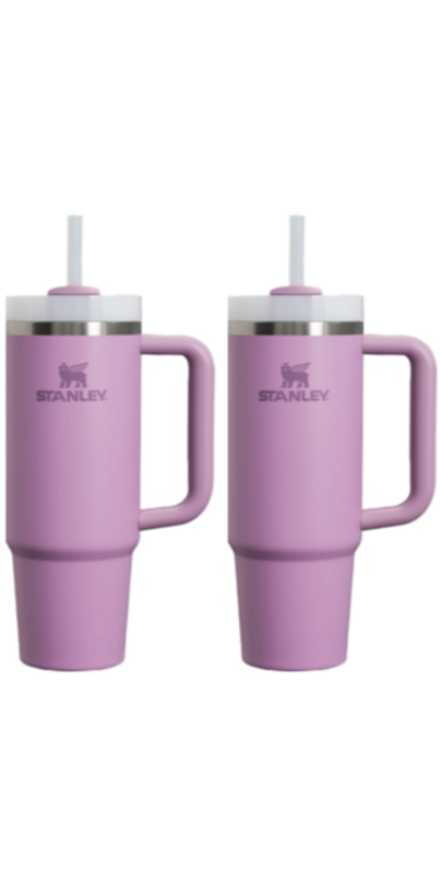 Achetez Stanley Lilac Besties Bundle à Well.ca | Livraison gratuite 35 ...