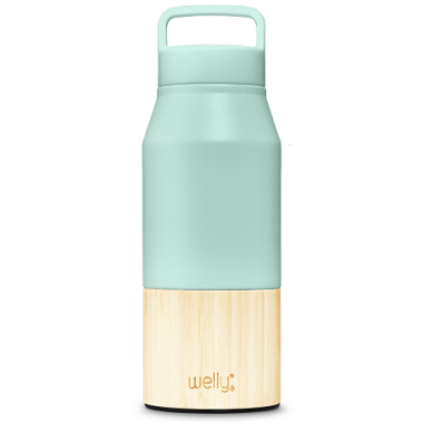 Buy Welly Traveler Insulated Water Bottle Mint at Well.ca | Free ...