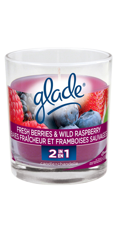 Buy Glade 2 In 1 Scented Candle at Well.ca | Free Shipping $49+ in Canada