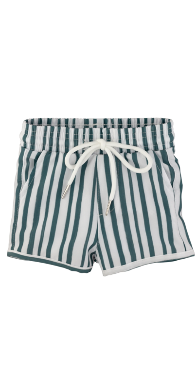 Buy Current Tyed Clothing Arlo Swim Trunks Sage Watercolour Stripes at Well.ca | Free Shipping ...