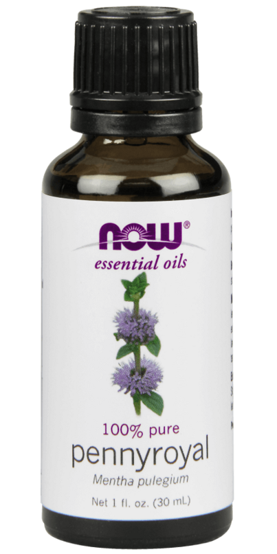 Buy Now Essential Oils Pennyroyal Oil At Well Ca Free Shipping 35