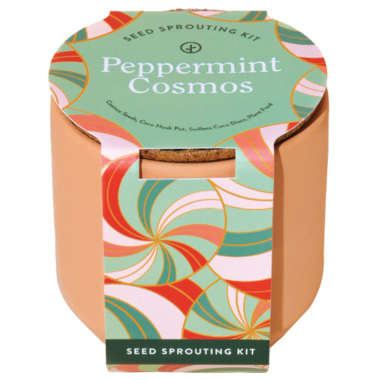 Buy Modern Sprout Peppermint Cosmos at Well.ca | Free Shipping $35+ in ...