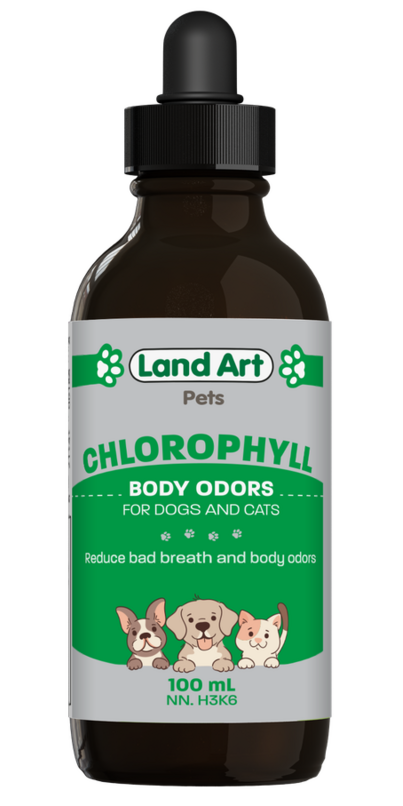 Buy Land Art Pets Chlorophyll for Dogs and Cats at Well.ca | Free ...