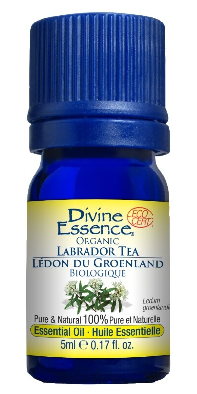 Buy Divine Essence Organic Labrador Tea Essential Oil at Well.ca | Free ...