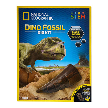 Buy National Geographic Dino Fossil Dig Kit at Well.ca | Free Shipping ...