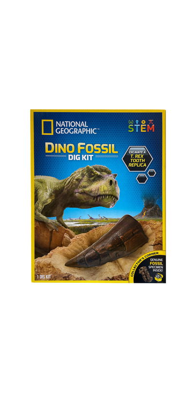 Buy National Geographic Dino Fossil Dig Kit at Well.ca | Free Shipping ...